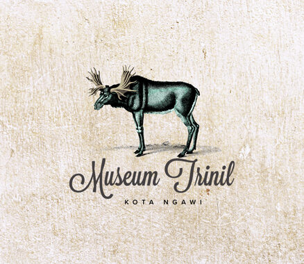 Mengenal Jenis Fosil Purba di Museum Trinil | Ruang Cindi