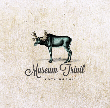 Mengenal Jenis Fosil Purba di Museum Trinil | Ruang Cindi